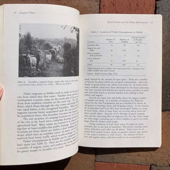 Other | 1977 The Irish Tinkers The Urbanization Of An Itinerant People ...